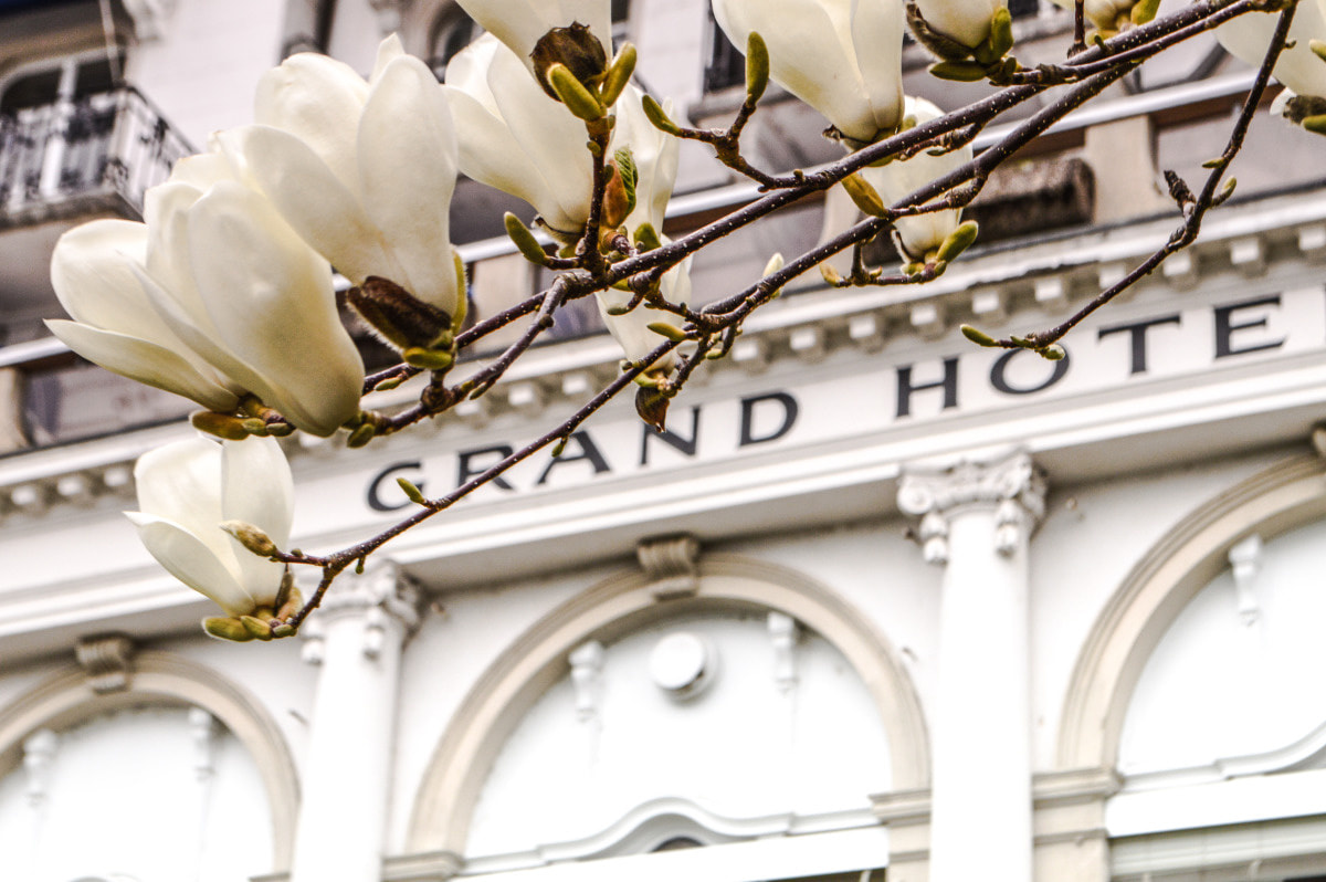 Effective Yield Management Strategies for Hotels